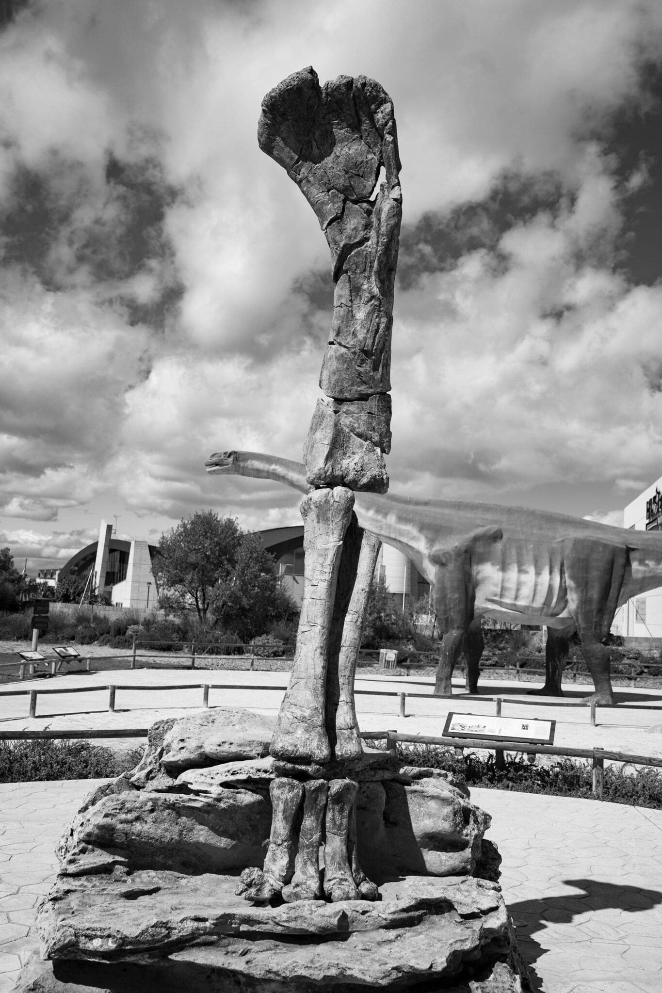 WUNDERCAMMER - Joan Fontcuberta - Visit Palma